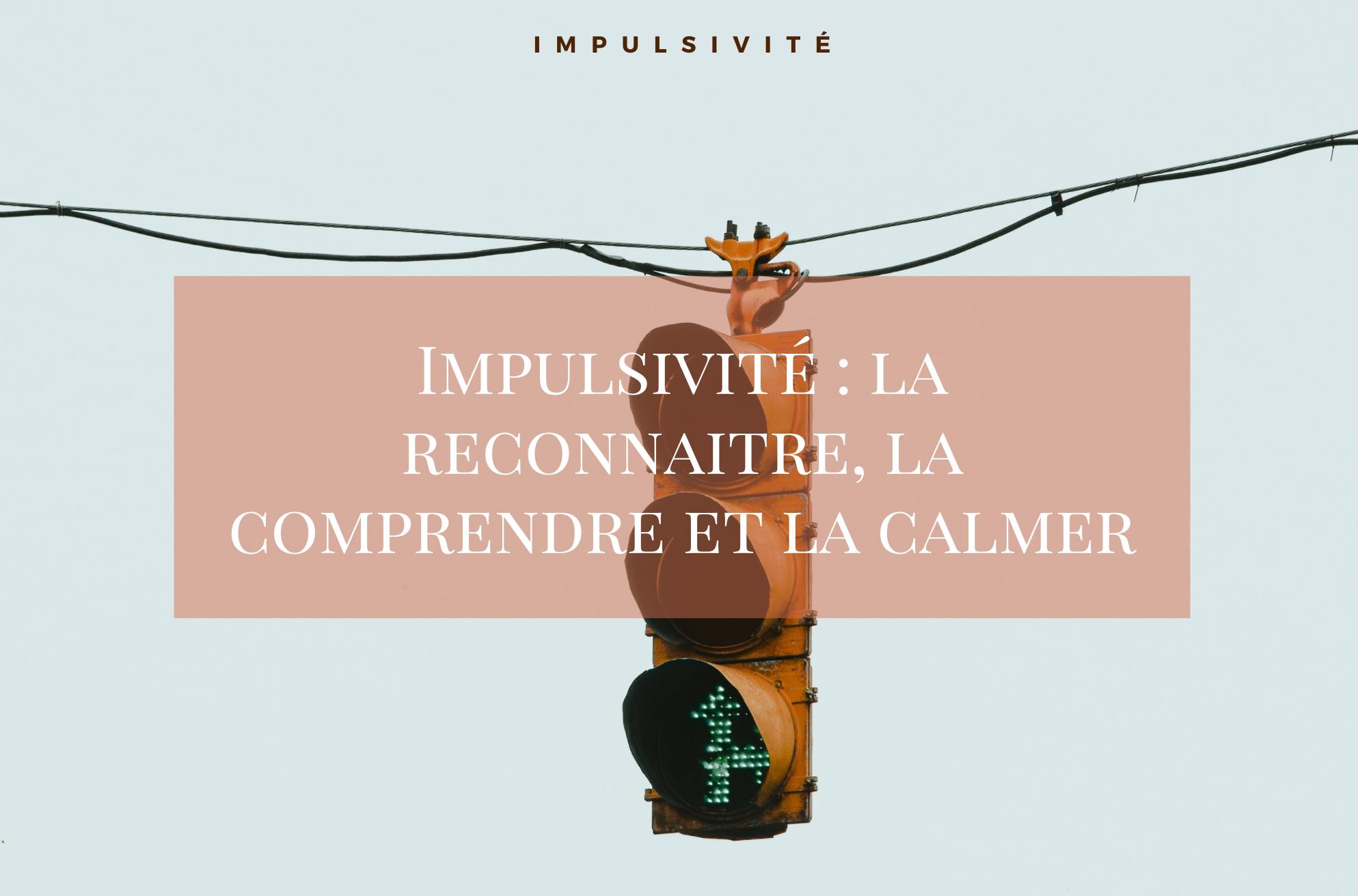 Impulsivité : la reconnaitre, la comprendre et la calmer